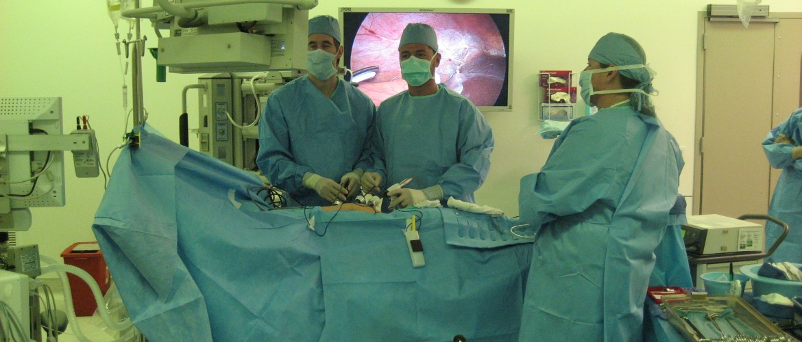 Dr. Alberto Breda – Jefe de Oncología Fundación Puigvert – Especialista ...